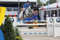 ASCA Z - EXTRAORDINARY COMMITMENT! | Studfarm Zangersheide